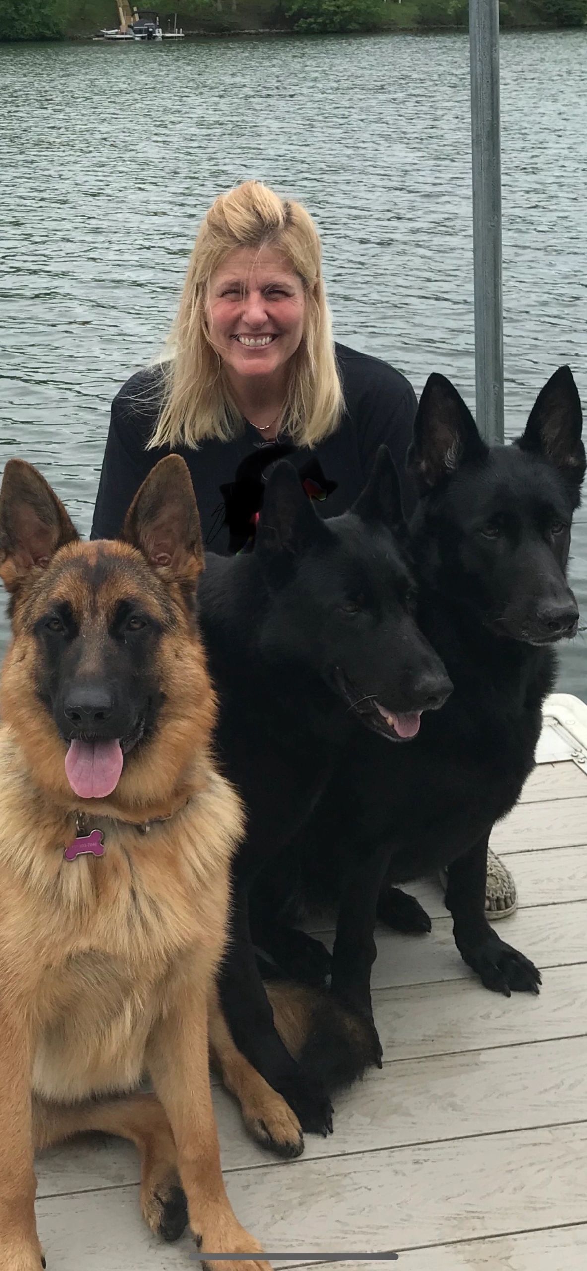 Effective Dog Training with a Professional Trainer