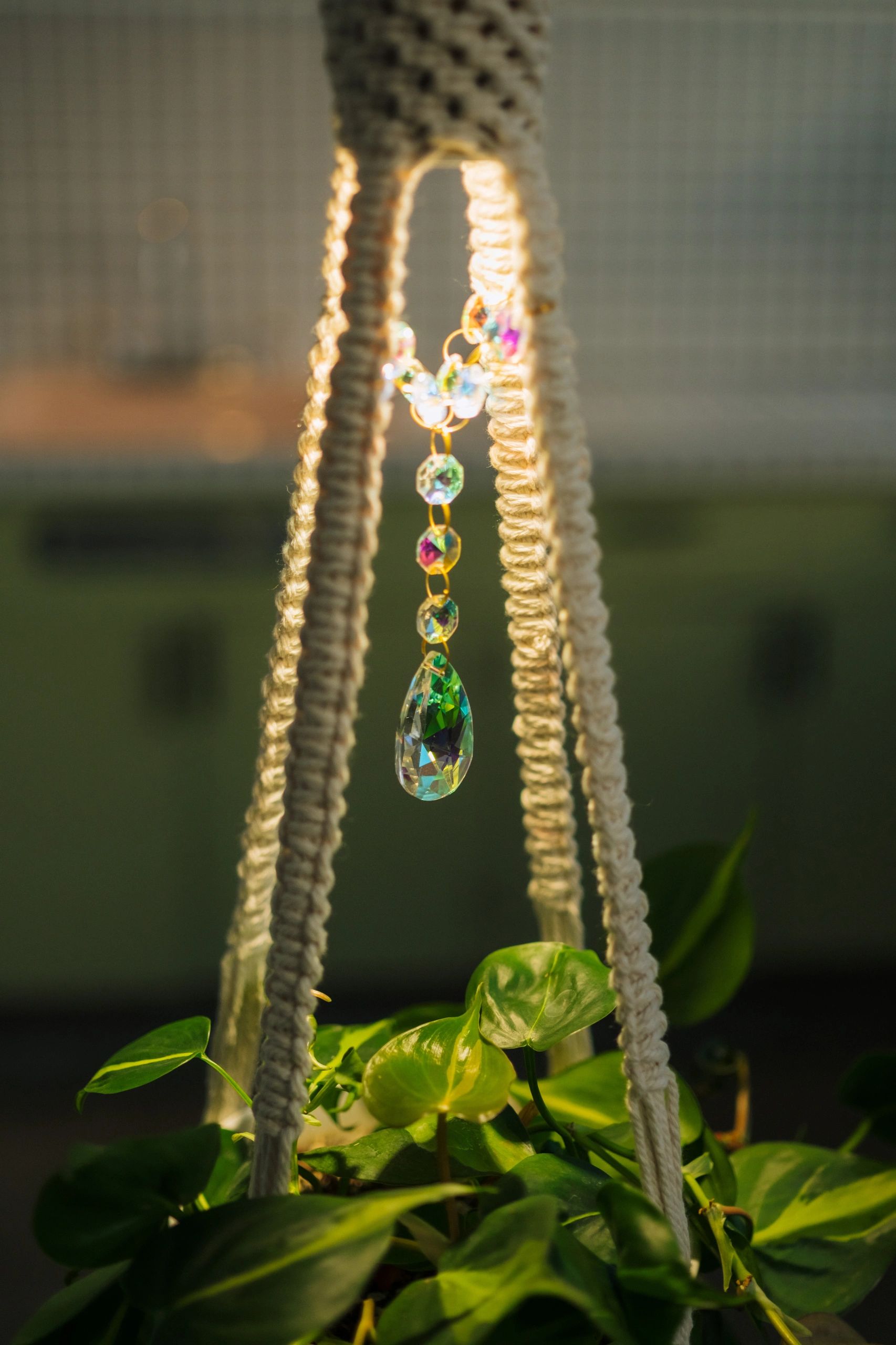 Shop Unique Plant Hangers with Crystals - IllumiFlora