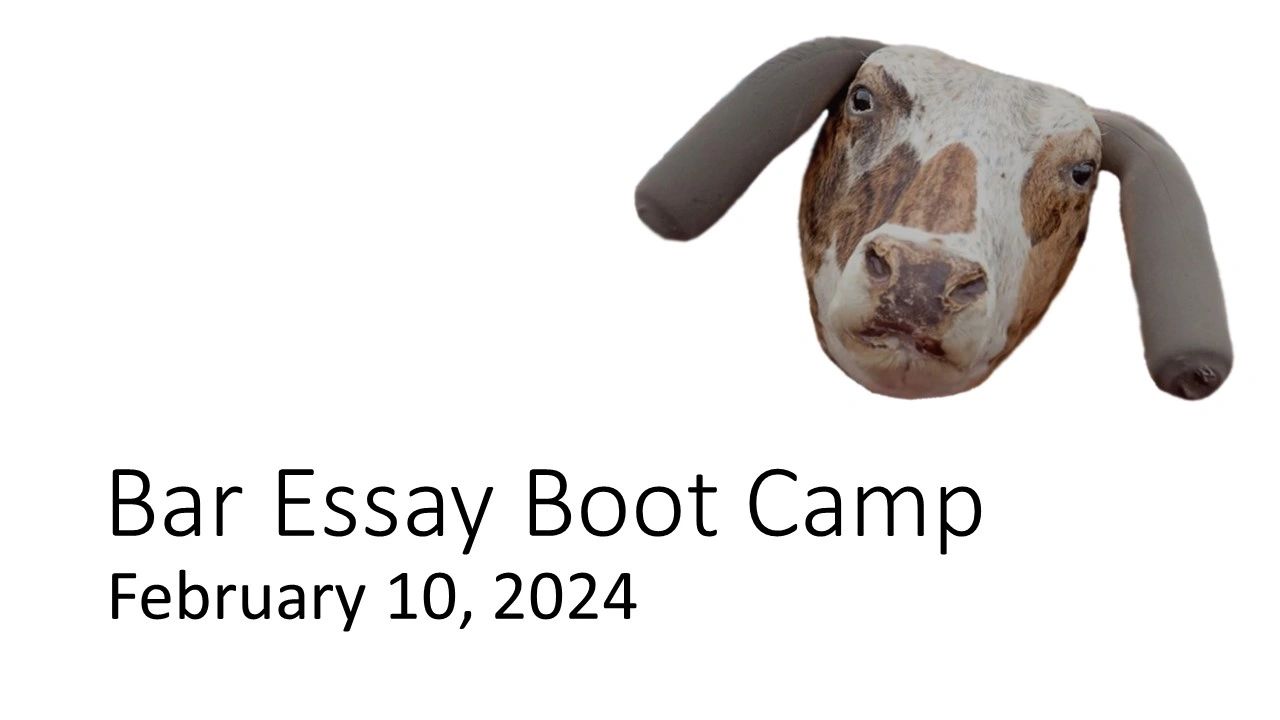 Bar Essay Boot Camp!