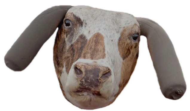 The Predictions Class