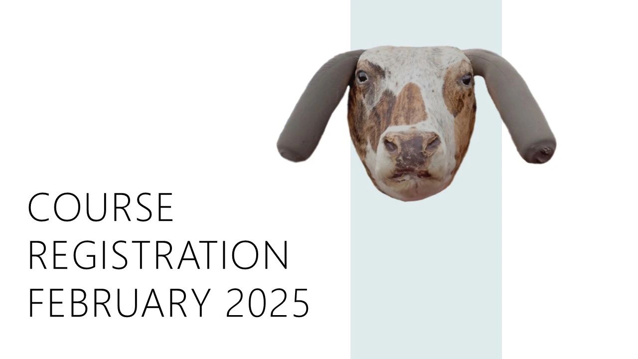 Ed Aruffo's No Bull Bar Prep Full Course