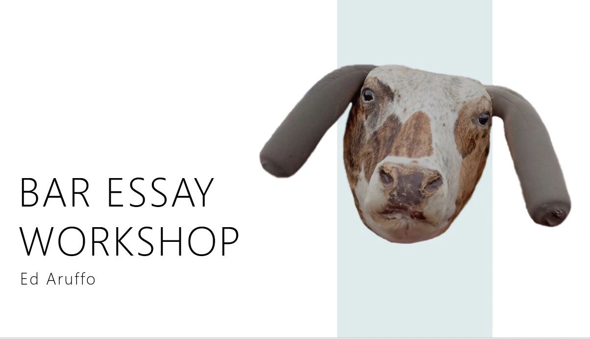 Bar Essay Writing Work Shop