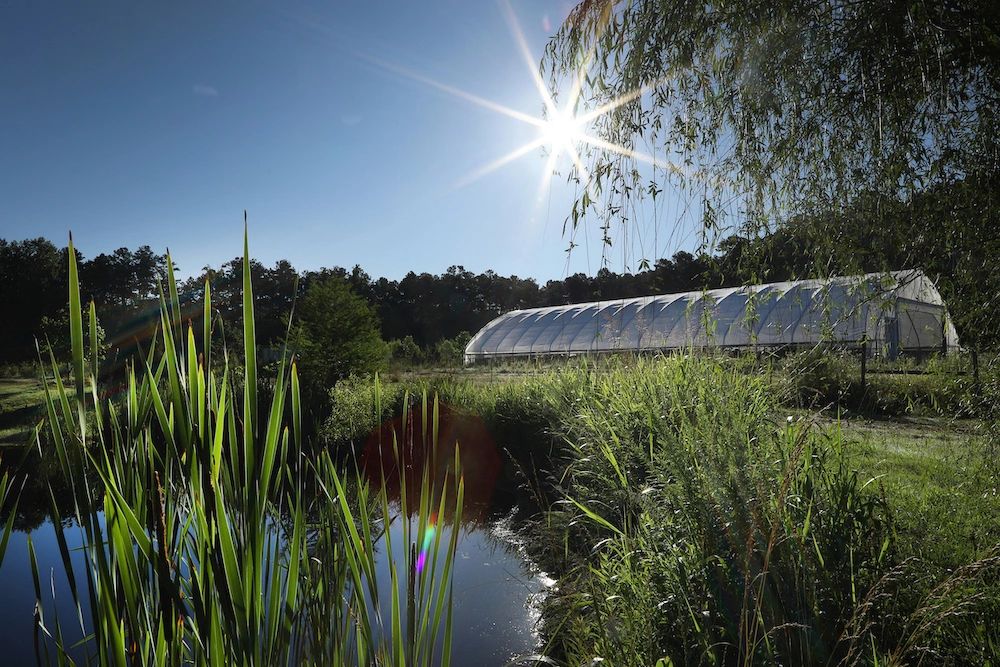 Ecofarm Communities | Sustainable Land Management Training