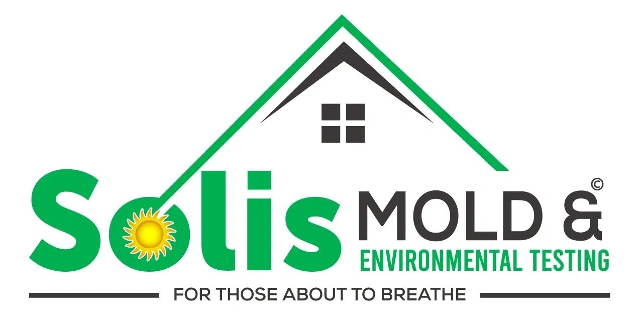 Expert Mold Testing Services