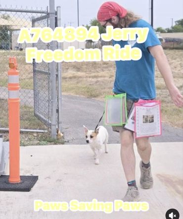 Home | Paws Saving Paws Animal Shelter