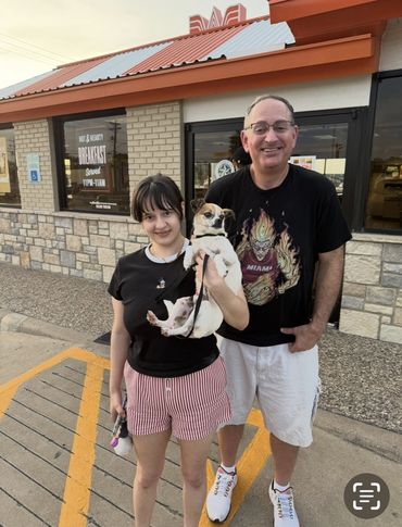 Home | Paws Saving Paws Animal Shelter