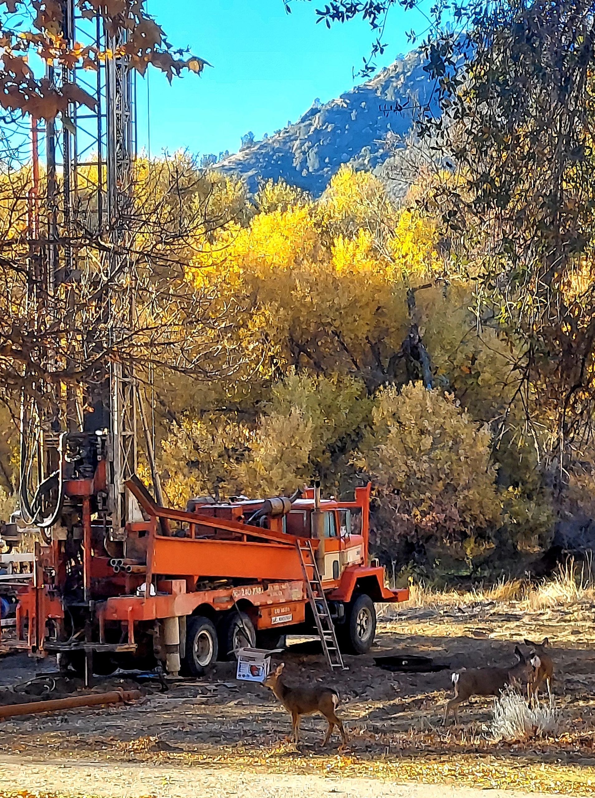 Drill Hog