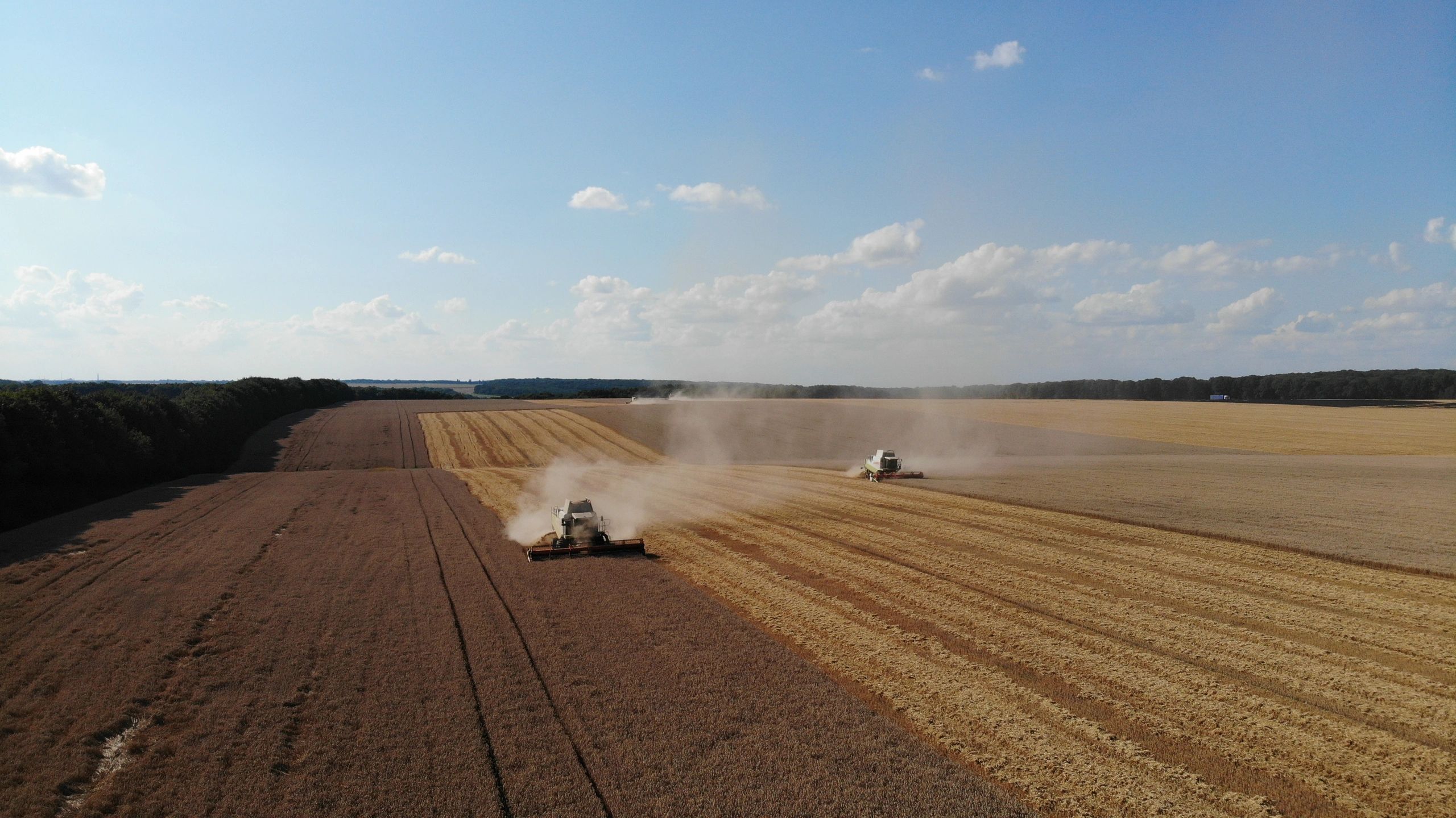 Agrox Trading Limited