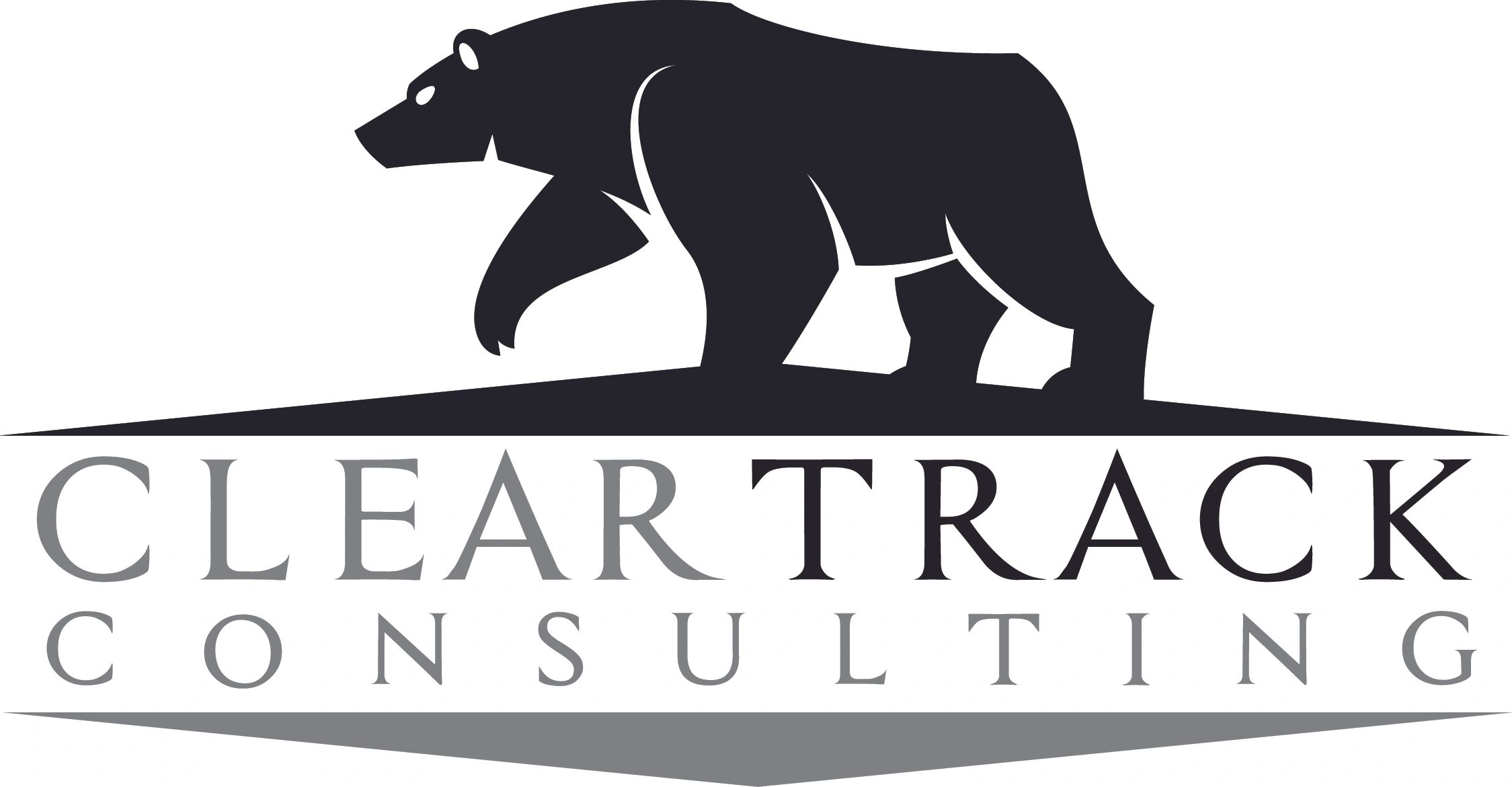 Clear Track Consulting