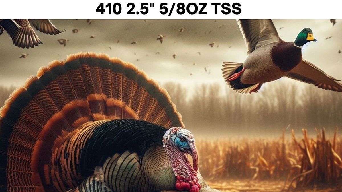 410 2.5" 5/8oz TSS