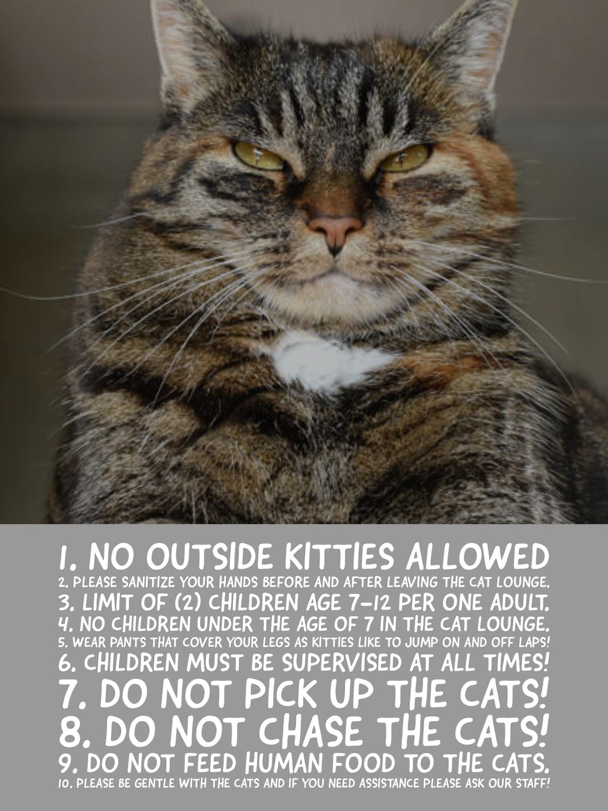 Rules | The Region Cat Cafe