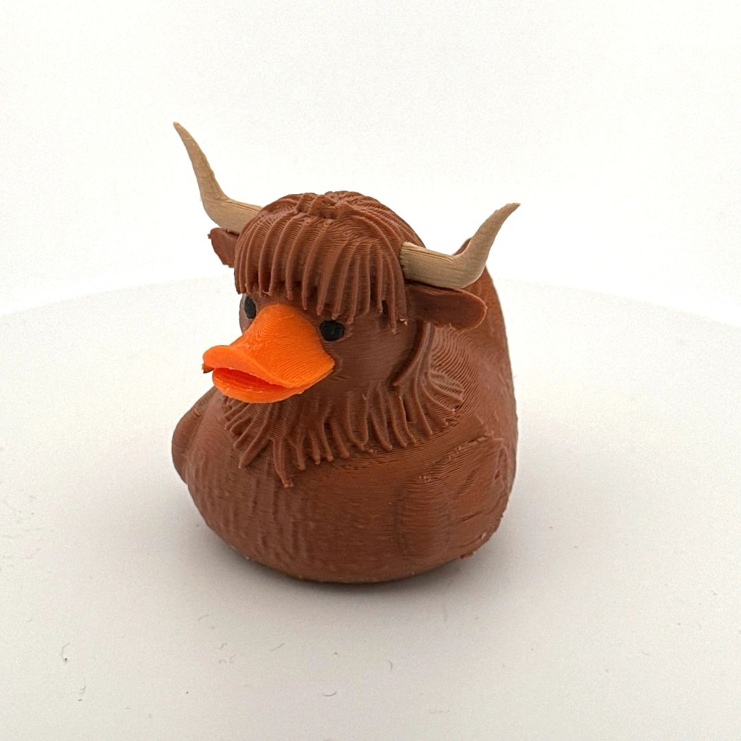 Highland Duck