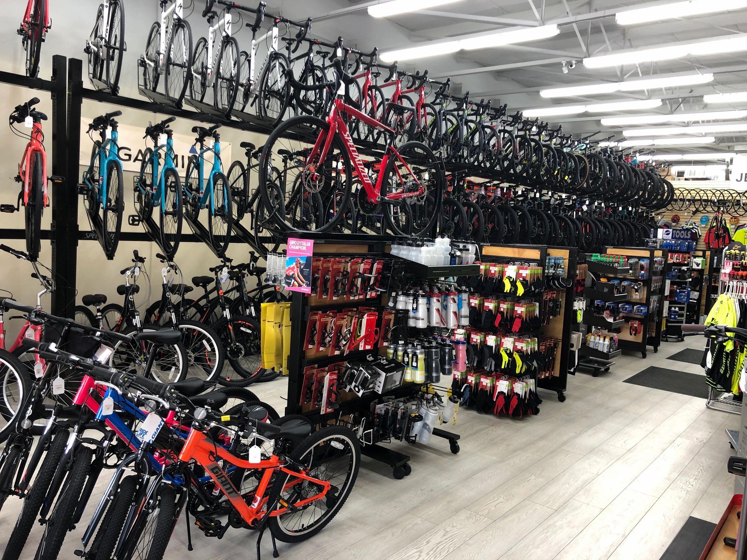 Specialized