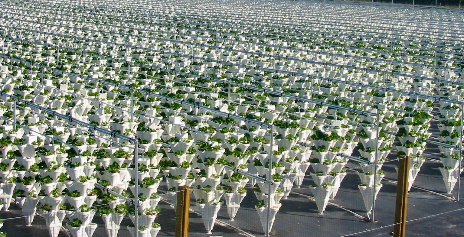 Hydroponic Vertical Gardening Systems - Hydro-Stacker™ West