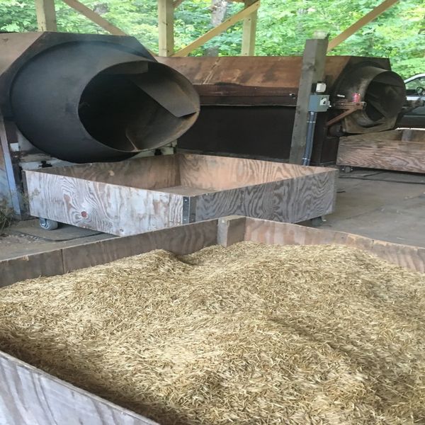 Cultivating Tradition And Spirit Lake - Spirit Lake Native Farms