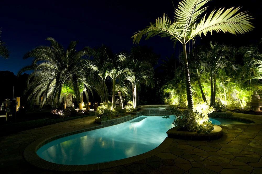 Spotlights or String uplighting for Palm Tree