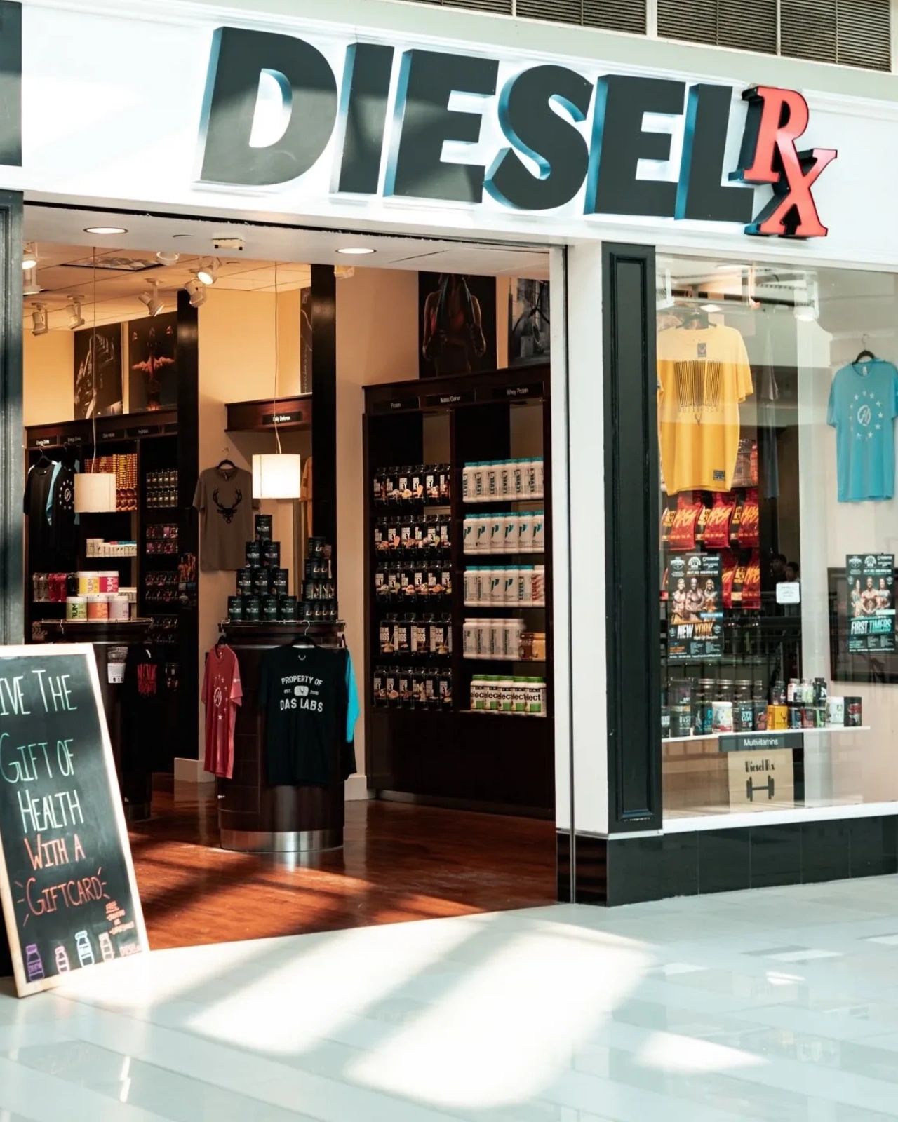 Buy High-Quality Protein Powder