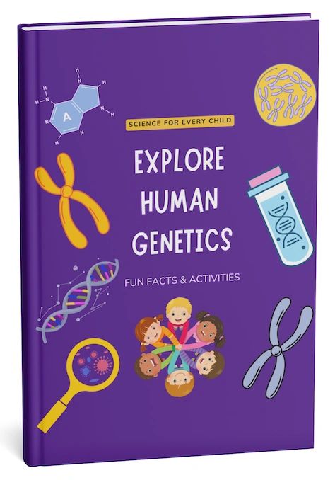 Explore Human Genetics: Fun Facts & Activities