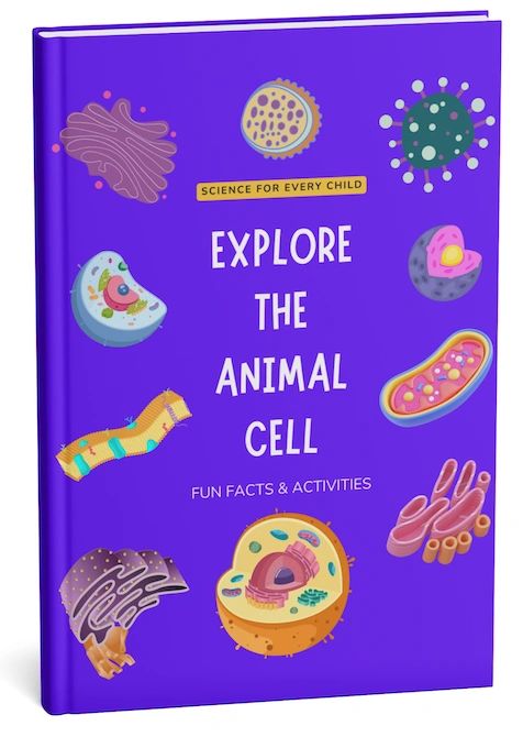 Explore The Animal Cell: Fun Facts & Activities