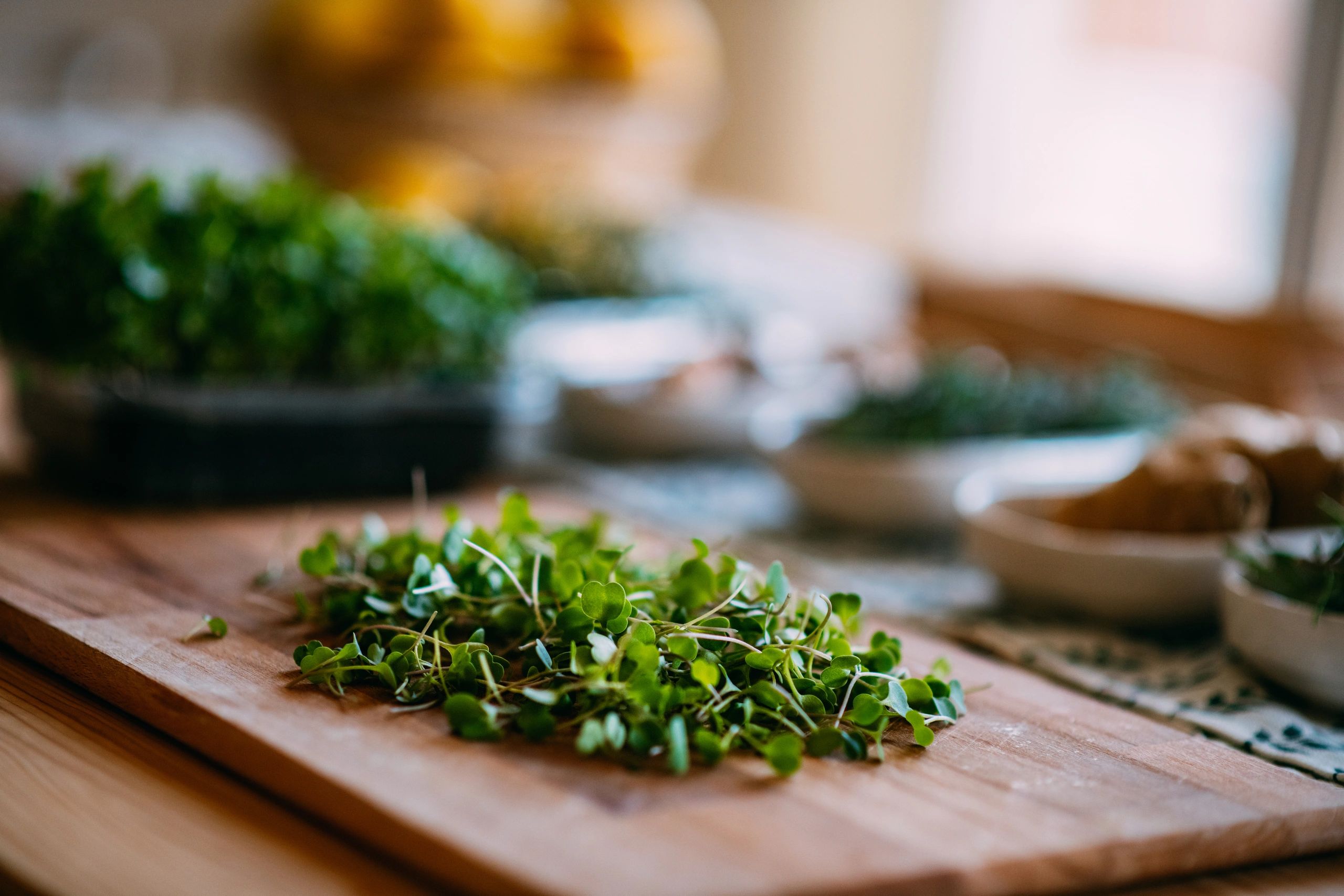 Microgreens for Health - Fresh and Nutritious Microgreens