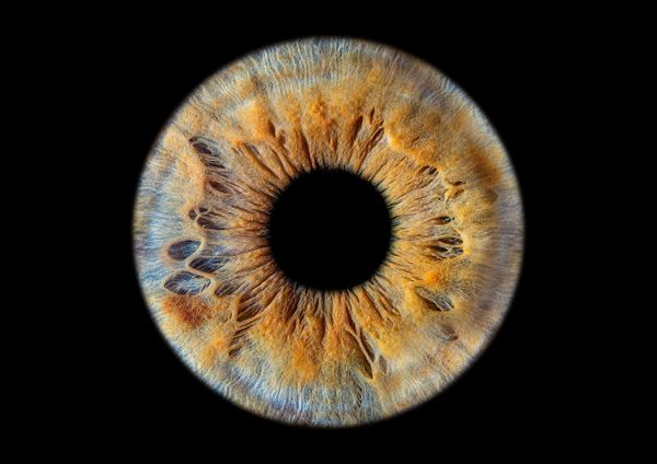 Creative Iris Photography