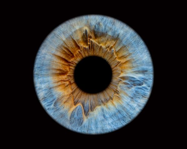Creative Iris Photography