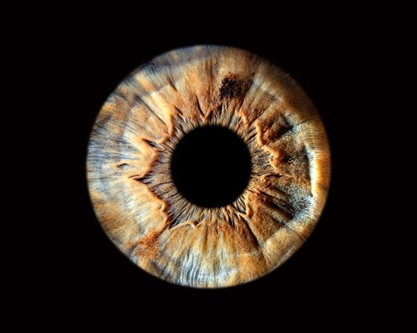 Creative Iris Photography