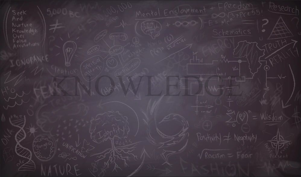 Sankofa Schematics