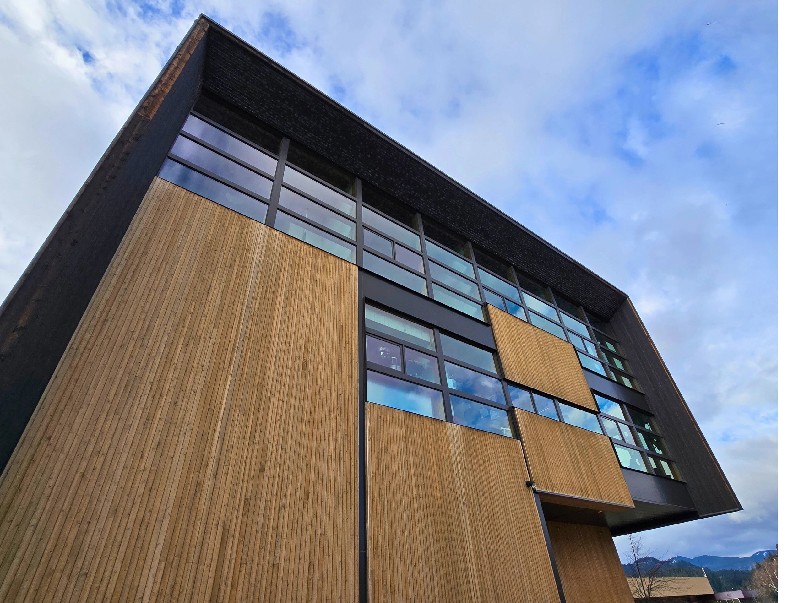 Nexus Contracting Solutions