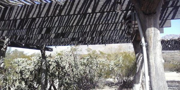 BK Cacti - Ocotillo and Ramada Panels, Native Arizona Cacti