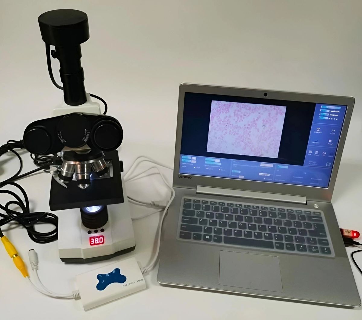 Canine Computer Assisted Semen Analysis system - CASA System (Limited ...