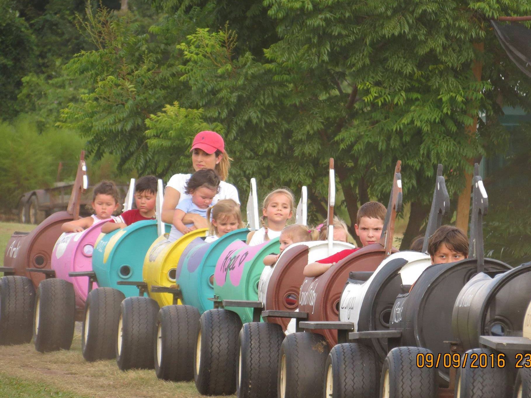 Conners Amaizeing Acres - Corn Maze, Farm, Things to Do
