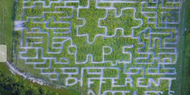 The Maze