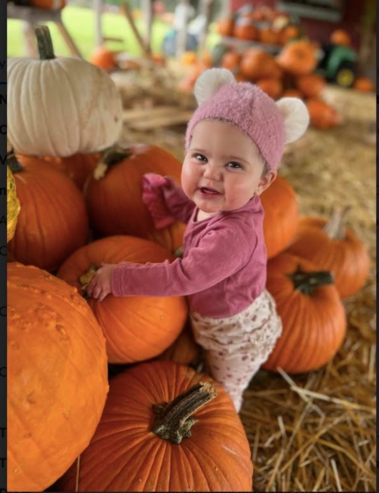 Conners Amaizeing Acres - Corn Maze, Farm, Things to Do