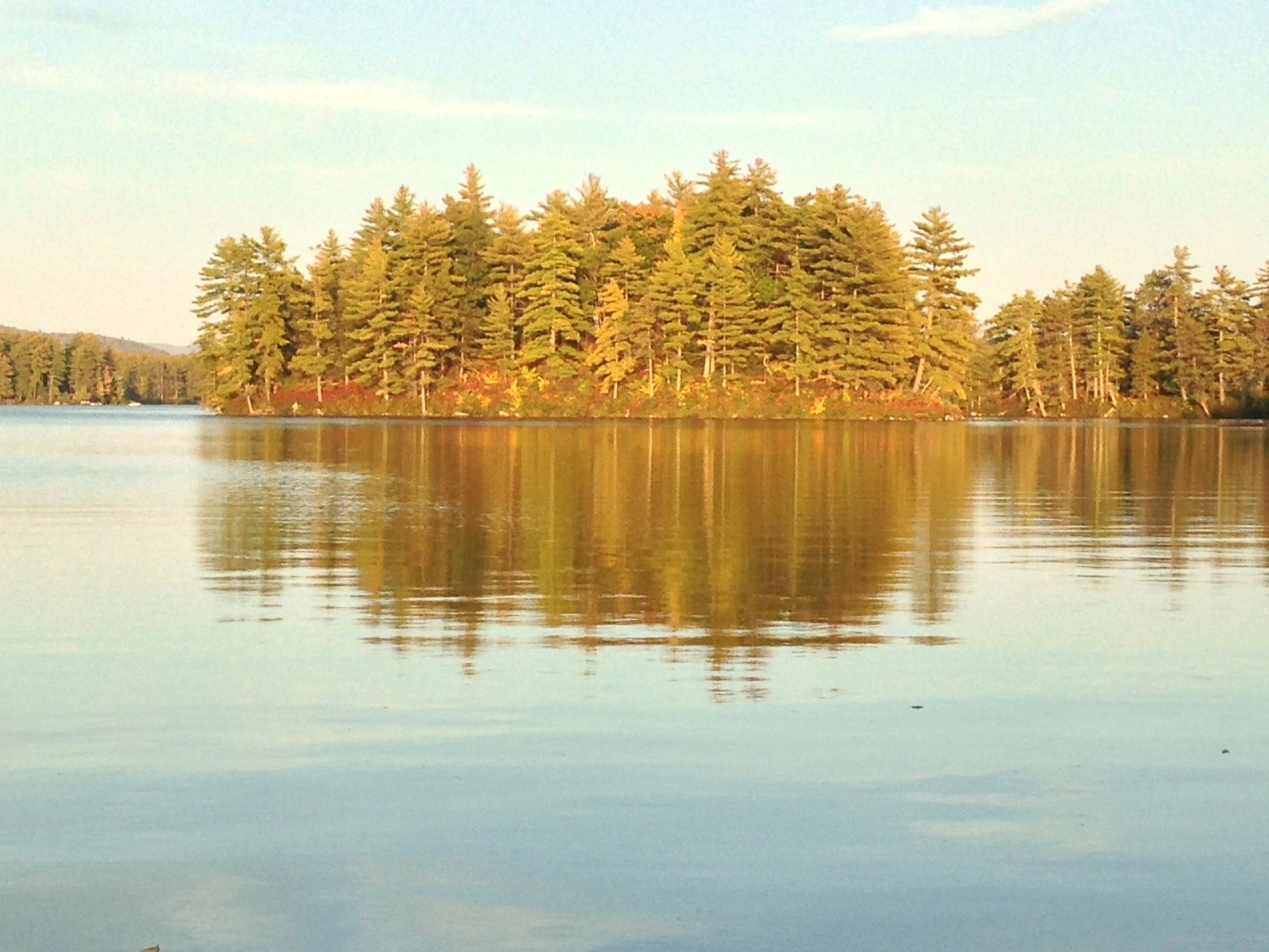 Conway Lake Get Away - Conway Lake, Cottage, Guest House