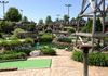 Stone Mountain Mini Golf | Twin Pines