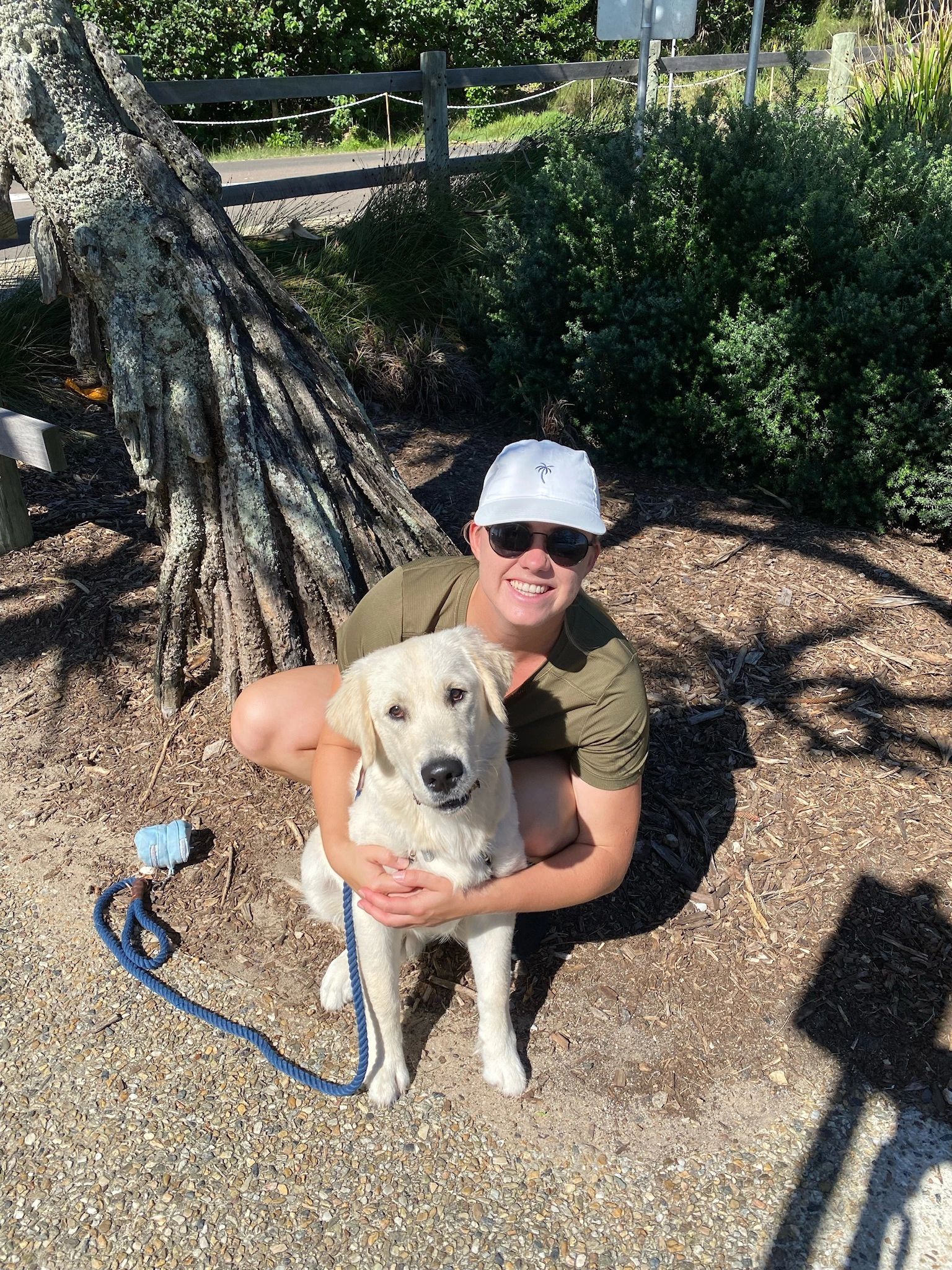 Pet Boarding and Pet Sitting Services | Sandy Paws with Cass