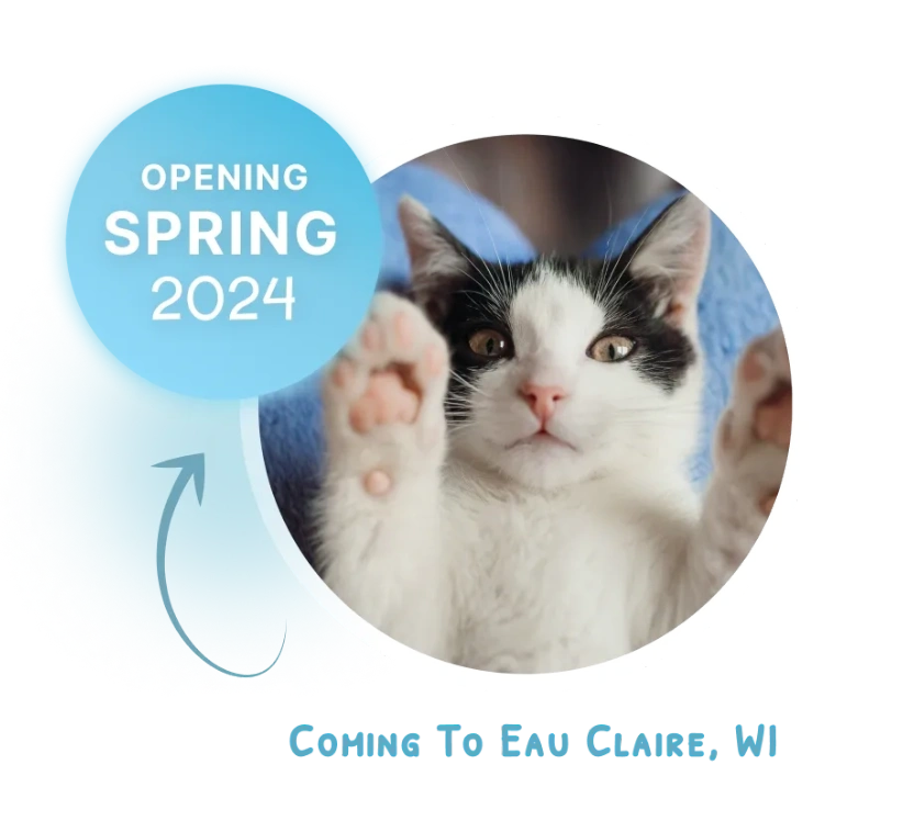 Mr. Kitty's Cat Café & Boutique