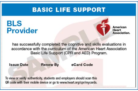 SKILLS SESSION ONLY (eLearning HEART CODE BLS Online Certificate Required)