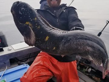 Seasons & Catch Limits