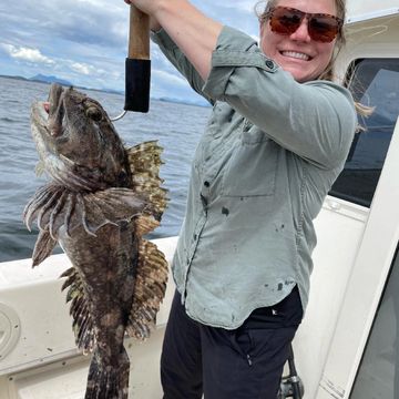 Seasons & Catch Limits