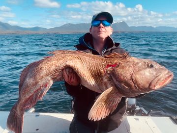 Seasons & Catch Limits