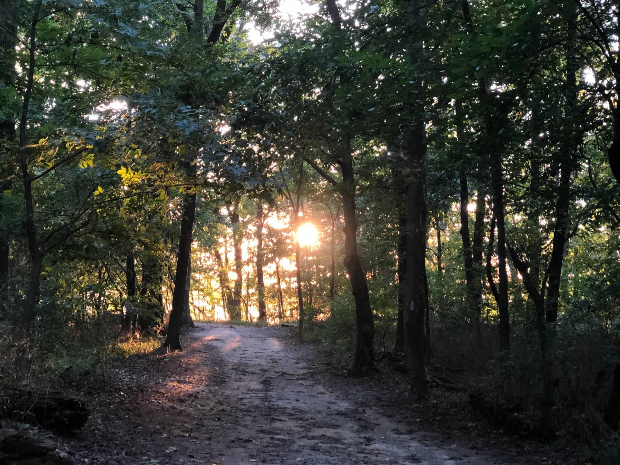 Transformative Pathways LLC