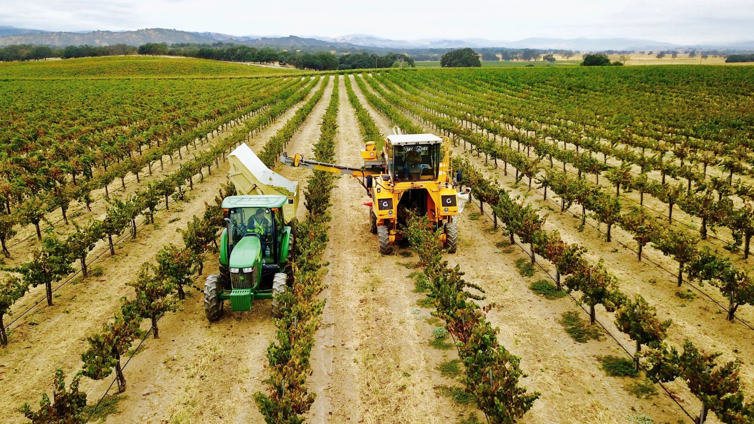 About | JD Farming Inc.