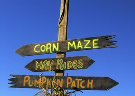 Contact Us | Niederman Family Farm