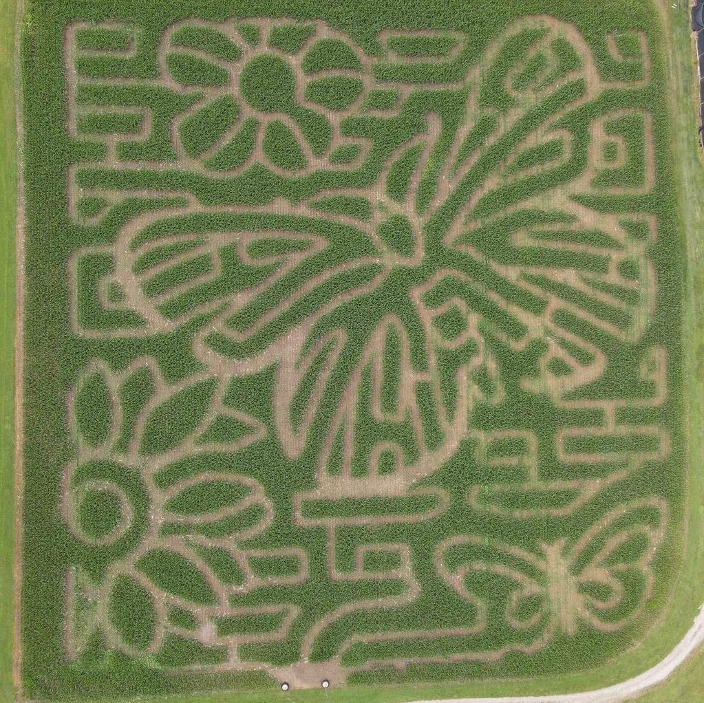 Niederman Family Farm - "Something for Everyone!"