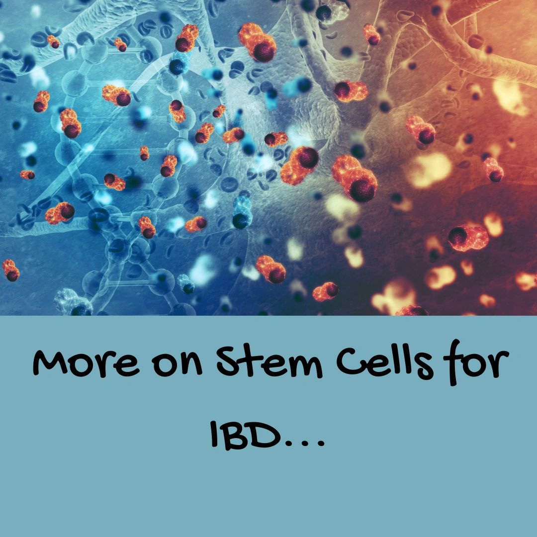 Can Stem Cells Heal the Gut? The New Frontier in IBD Treatment