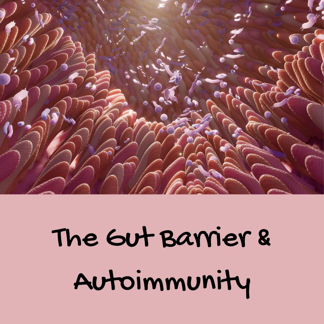 ️ The Gut Barrier: The Overlooked Trigger in Autoimmune Disease