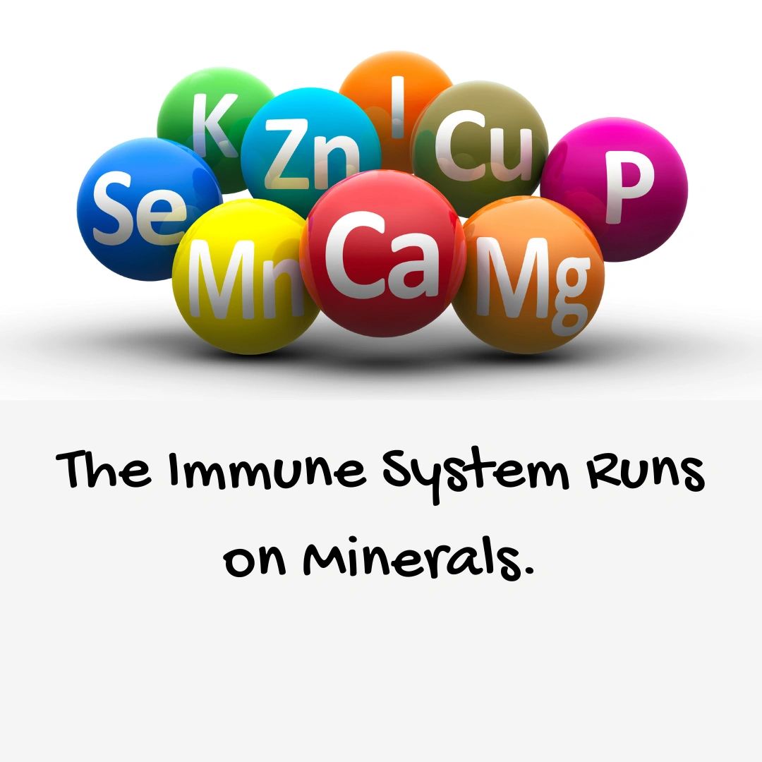 The Immune System Runs on Minerals – Here’s What You Need to Know