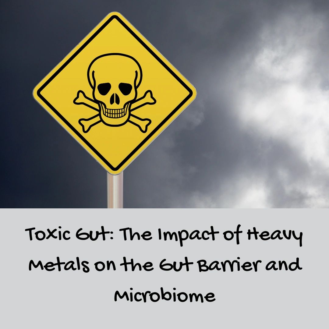 易 Toxic Gut: How Heavy Metals Wreck The Barrier and Microbiome